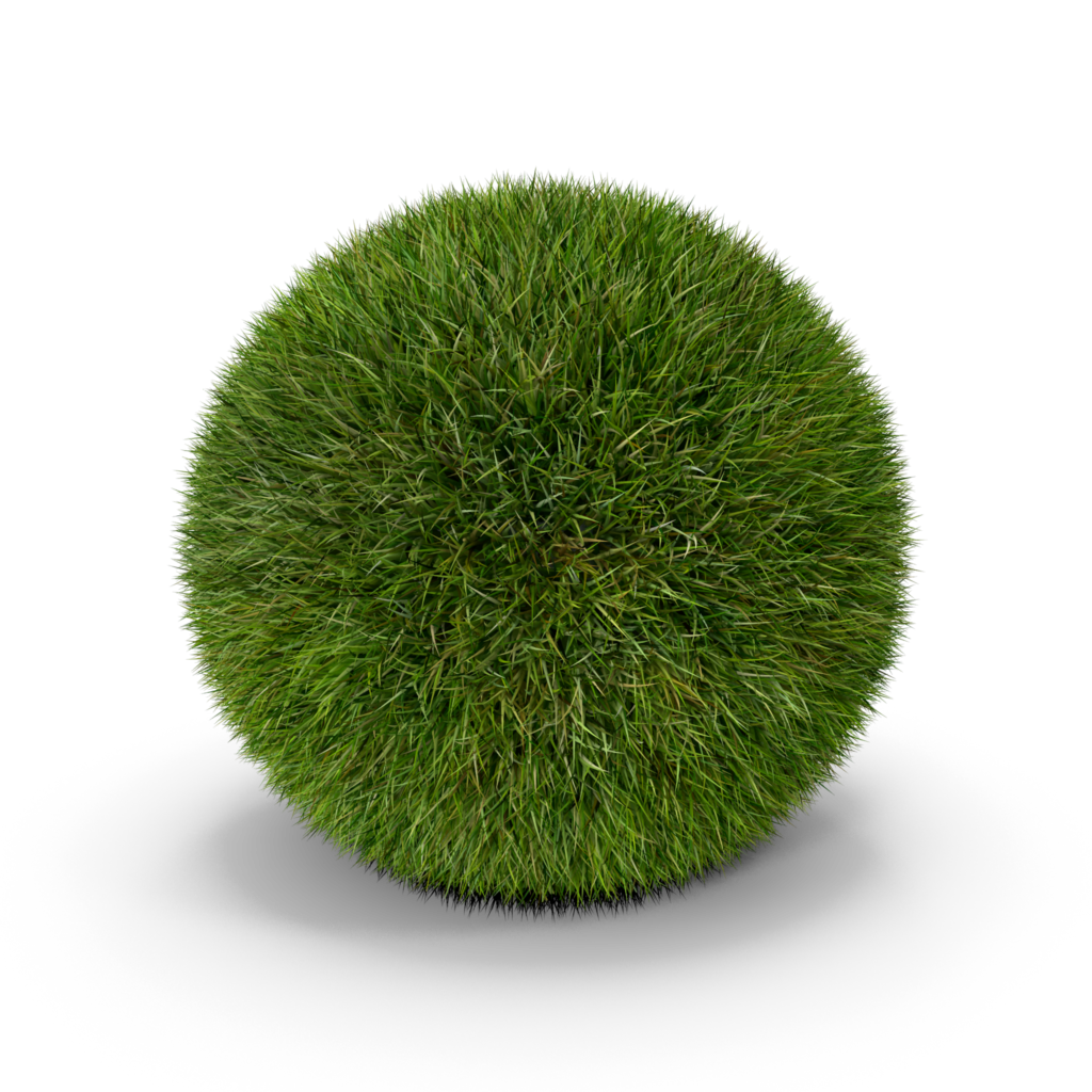 Explore Sports – Espaços Desportivos e de Lazer